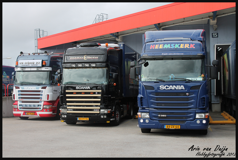 Schaap - Katwijk - Transportfotos.nl